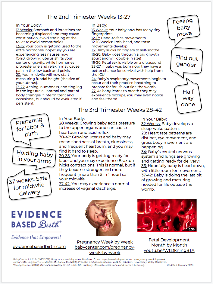 Prenatal - Nampa Midwifery